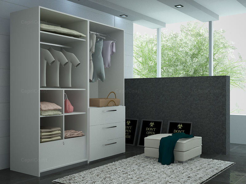 Modern Wardrobe Design in European Ash With Sleek Hinged Shutter Panels ...